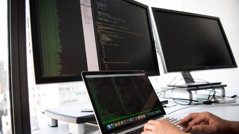 What Main Processes are there in Developing a Software?