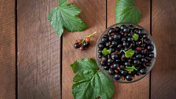 Best Black Foods List | Naturally Dark Magic on Your Plate